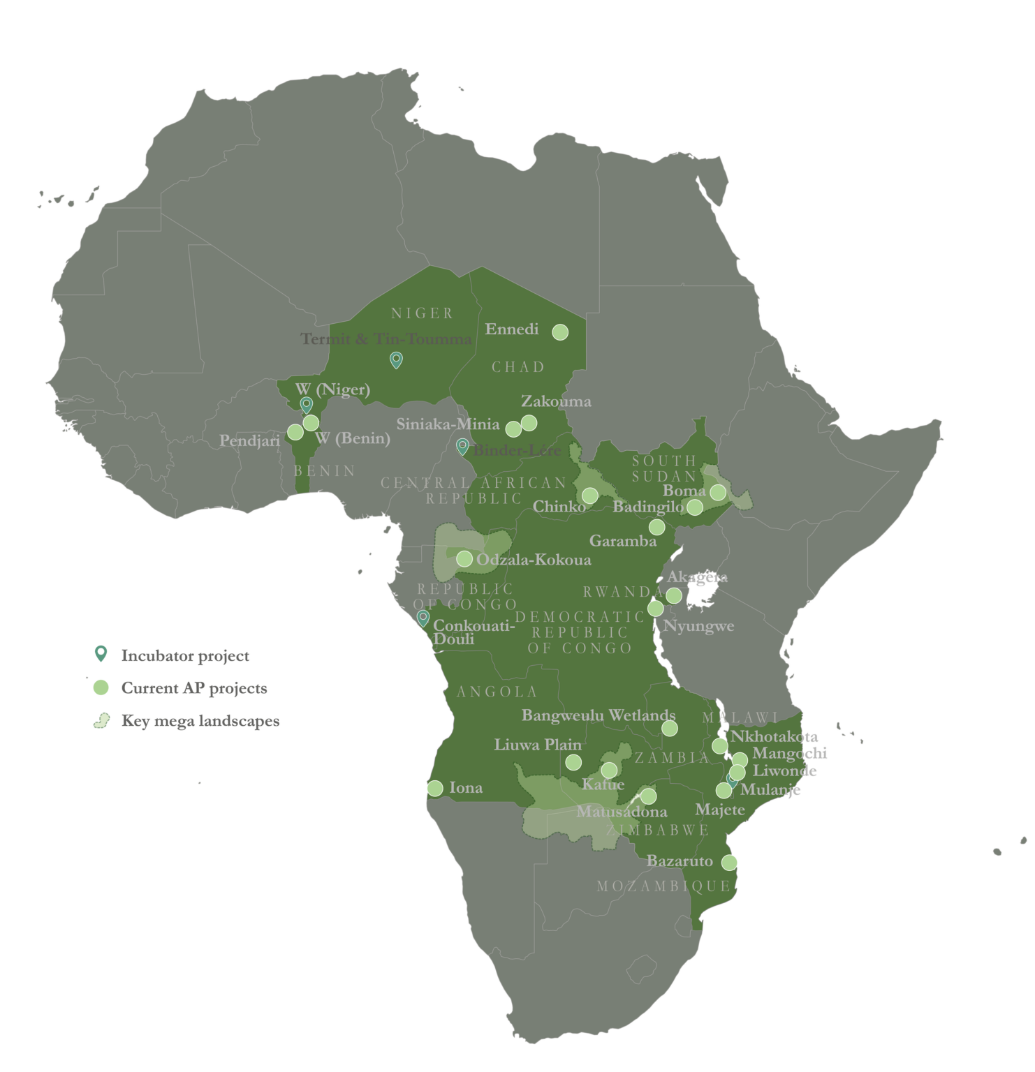 African Parks: 25 years of ground-breaking conservation | Blog | Expert ...